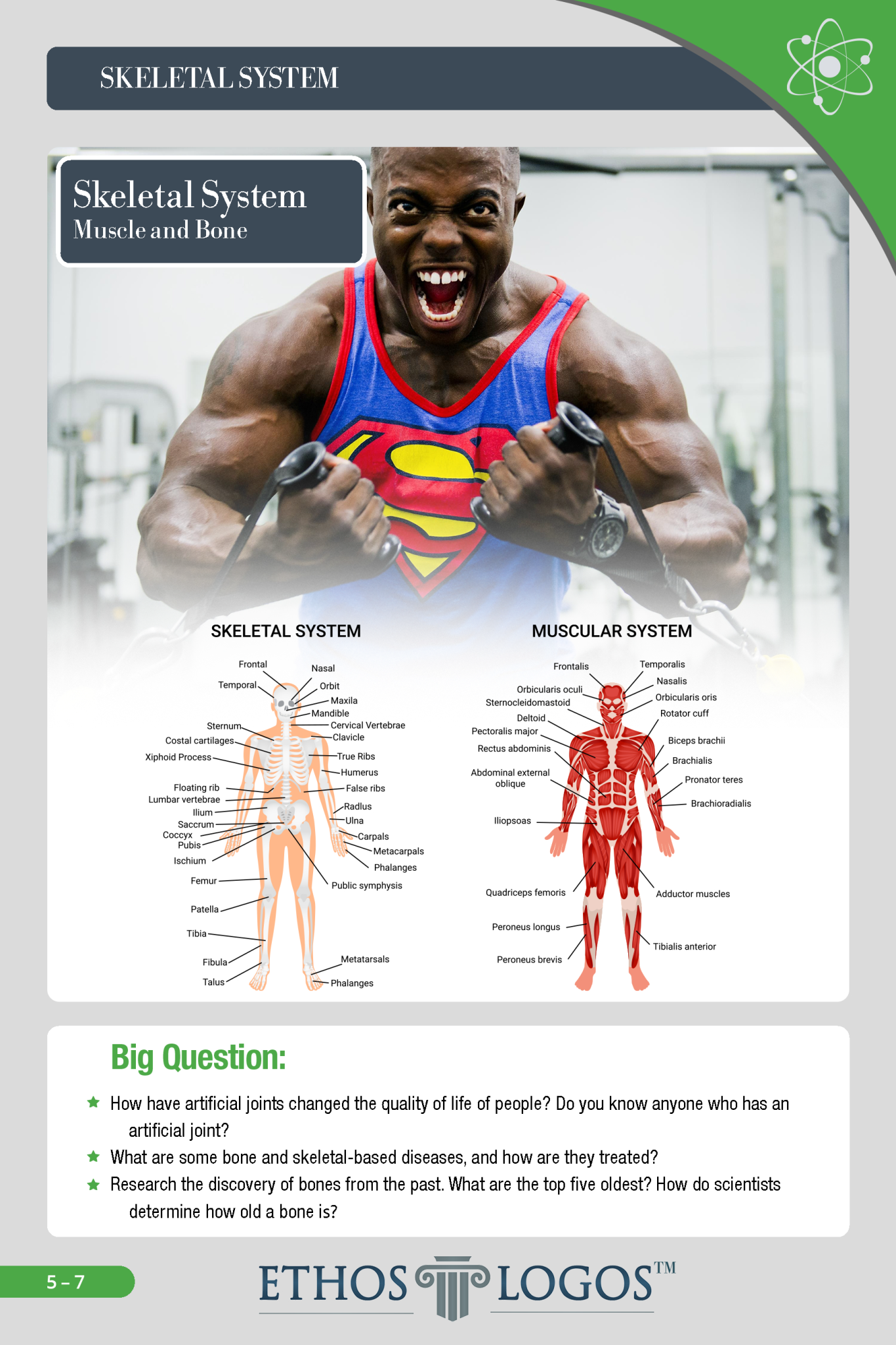 Ethos Logos and Christian Education - Ethos Logos